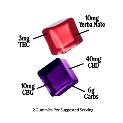 High Performance Energy Gummies – OFFFIELD