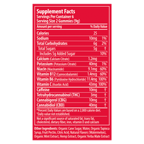 High Performance Energy Gummies – OFFFIELD